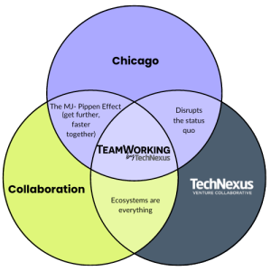 TeamWorking by TechNexus - Scaling Starts Here.